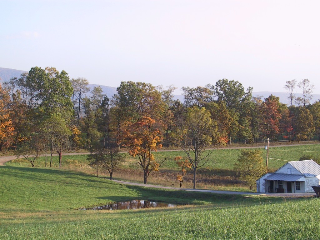 Basketball, Volleyball & Game Fields - Concord Retreat Center
